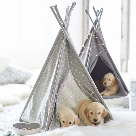Northfield Canvas Pet Teepee | PBteen