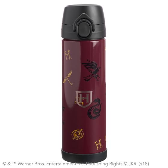 HARRY POTTER™ Mascot 17 oz Water Bottle | PBteen